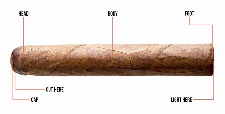 Cigar anatomy – Cohiba Atmosphere Kuala Lumpur